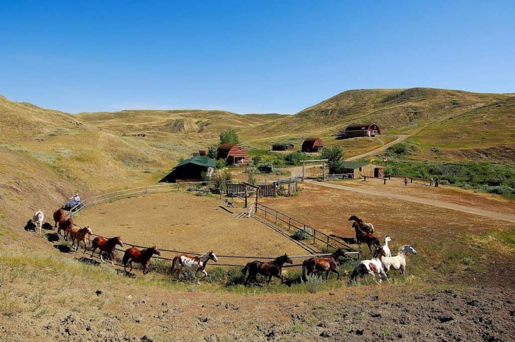 15 Unique Staycation Ideas in Canada - Like Where You're Going by Aly ...