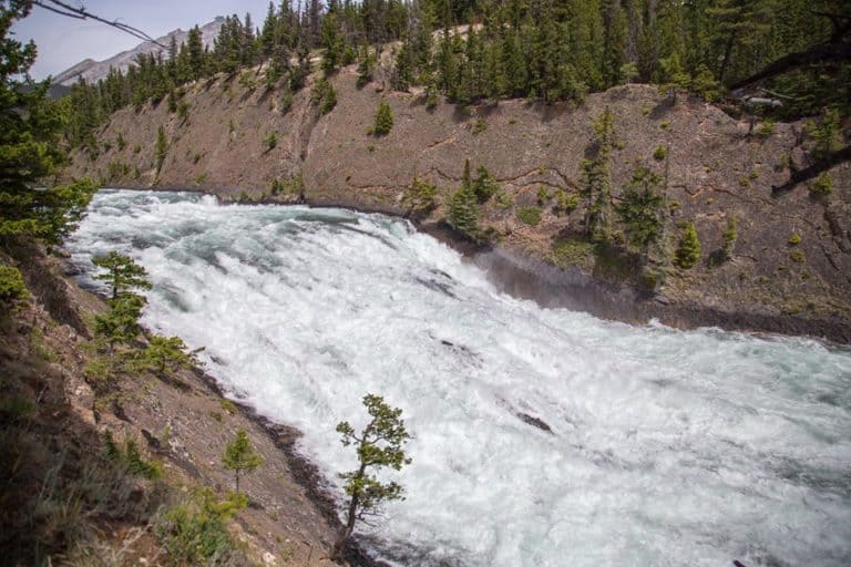 Your Ultimate Guide to Best Things To Do in Banff in Summer