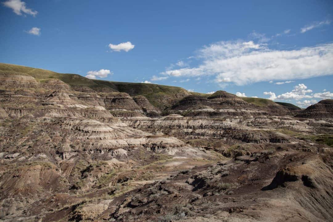 6 Iconic and Unique Alberta Road Trips for Your Summer Entertainment
