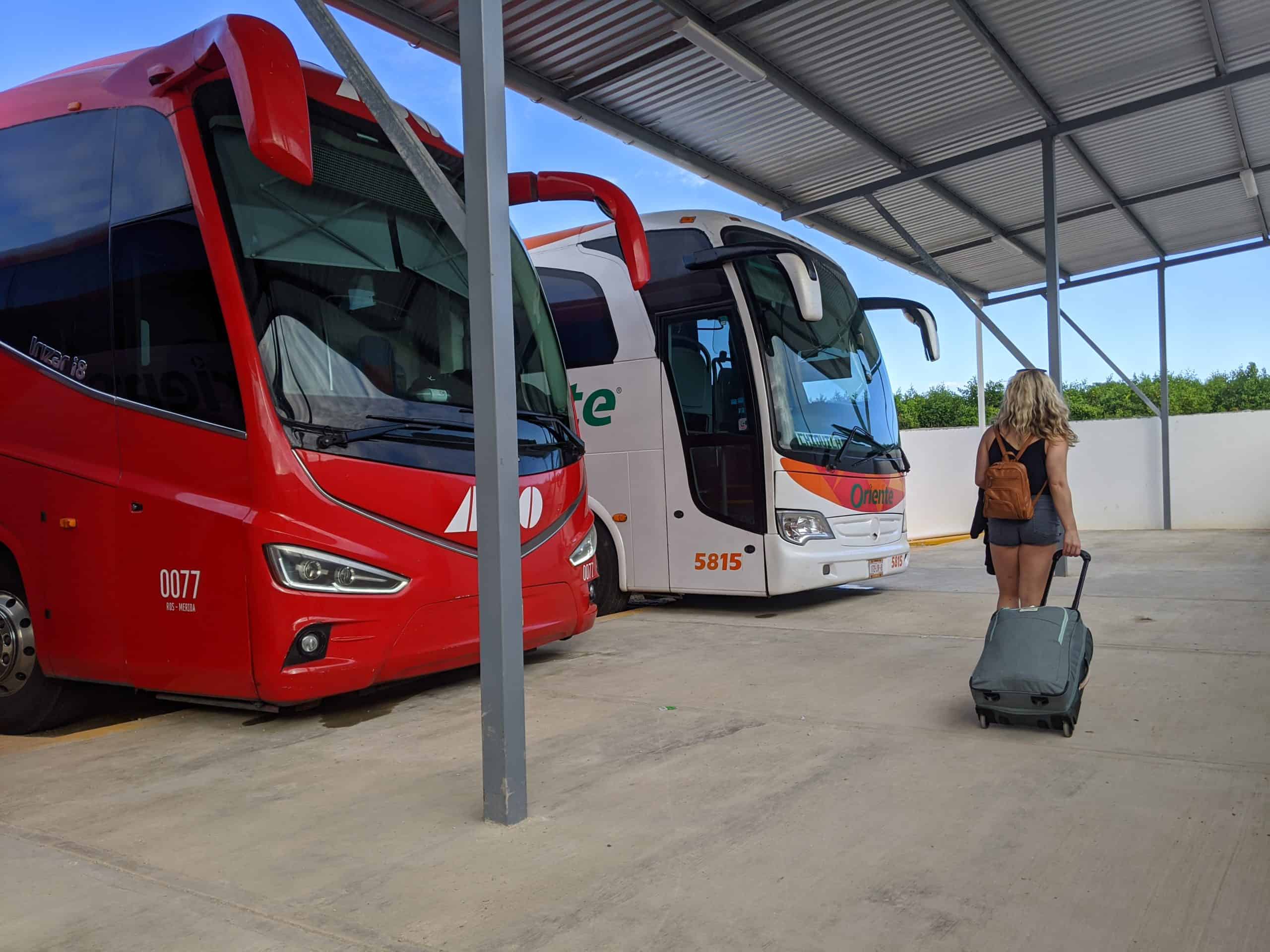 Mérida, Mexico Travel Guide: Everything You Need to Know About Visiting