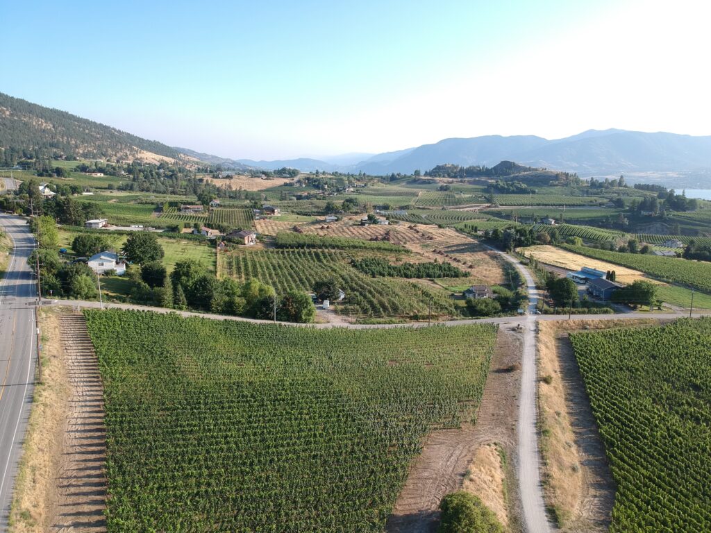 7 Naramata Wineries For the Best Wine Tasting Experience