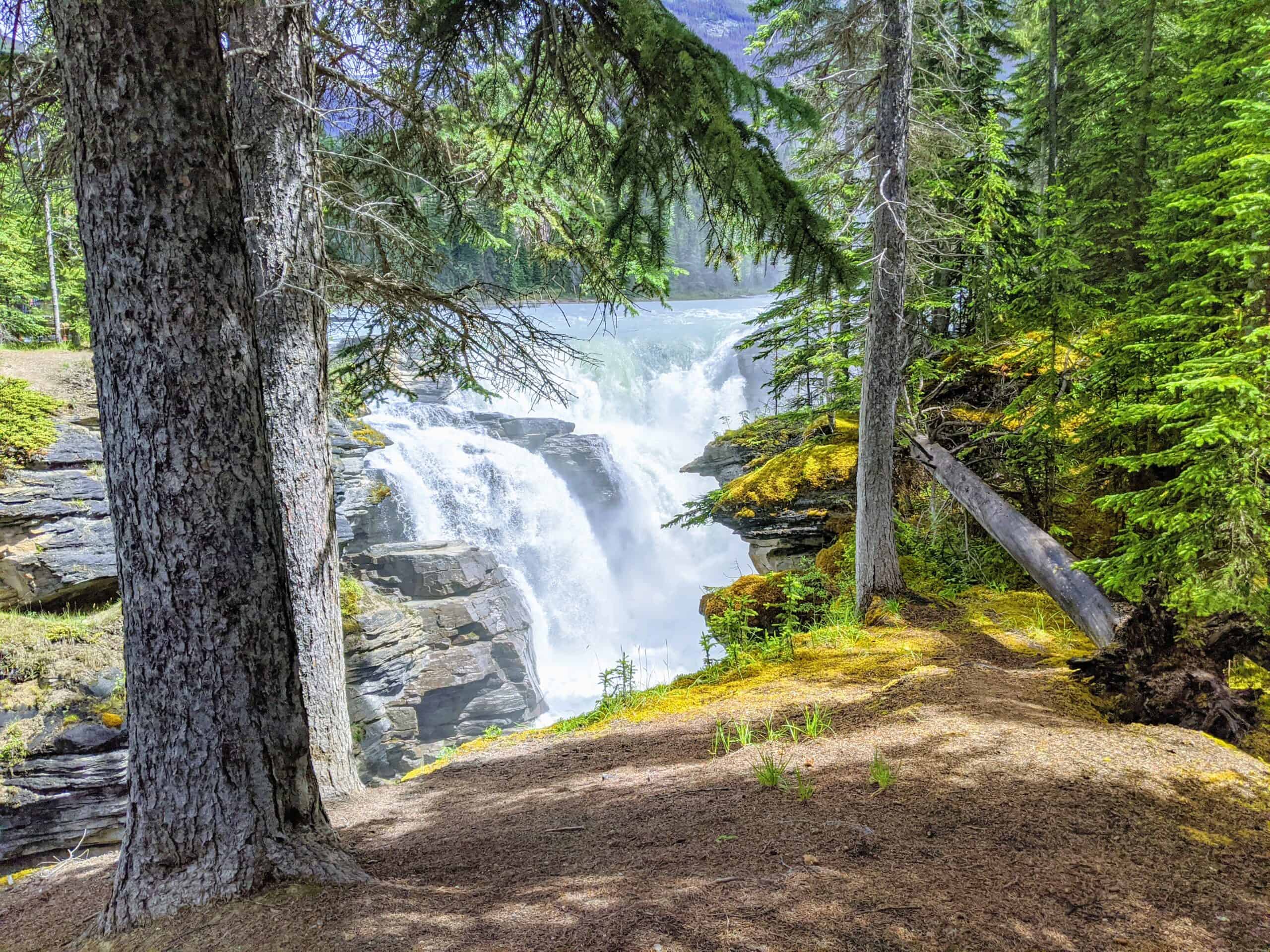 14 Things To Do in Jasper That Will Take Your Breath Away