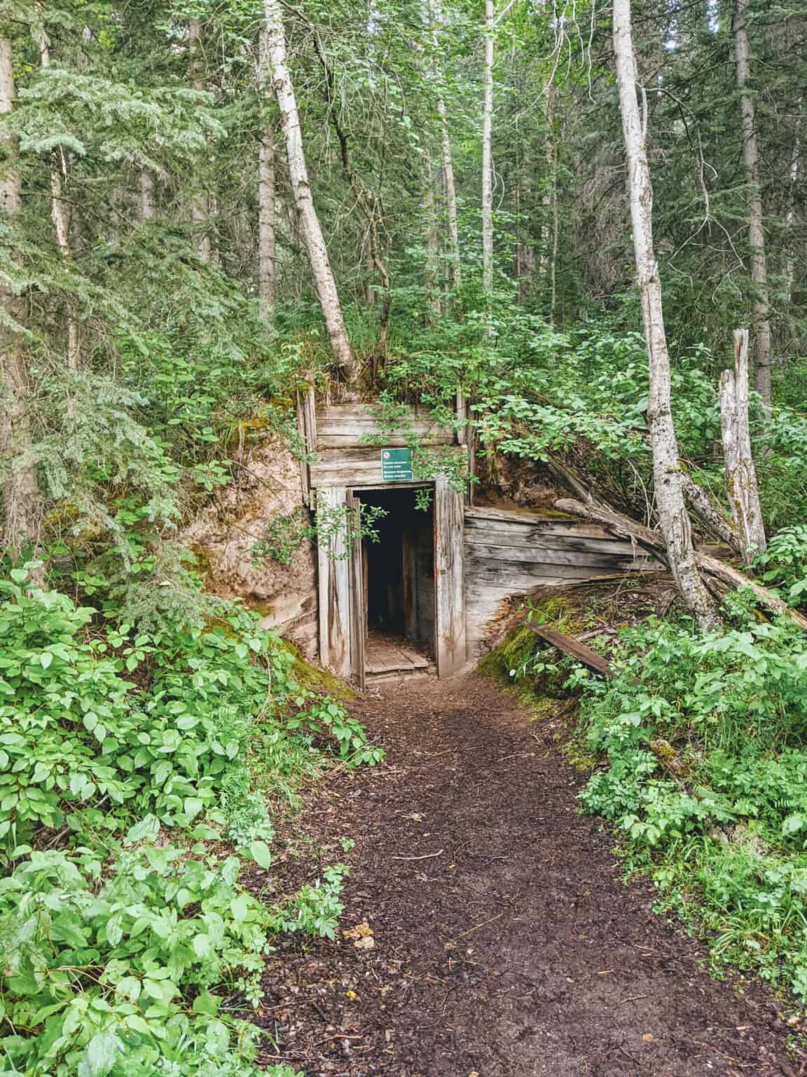 12 Outstanding Hikes In Jasper With The Best Views and Minimal Effort