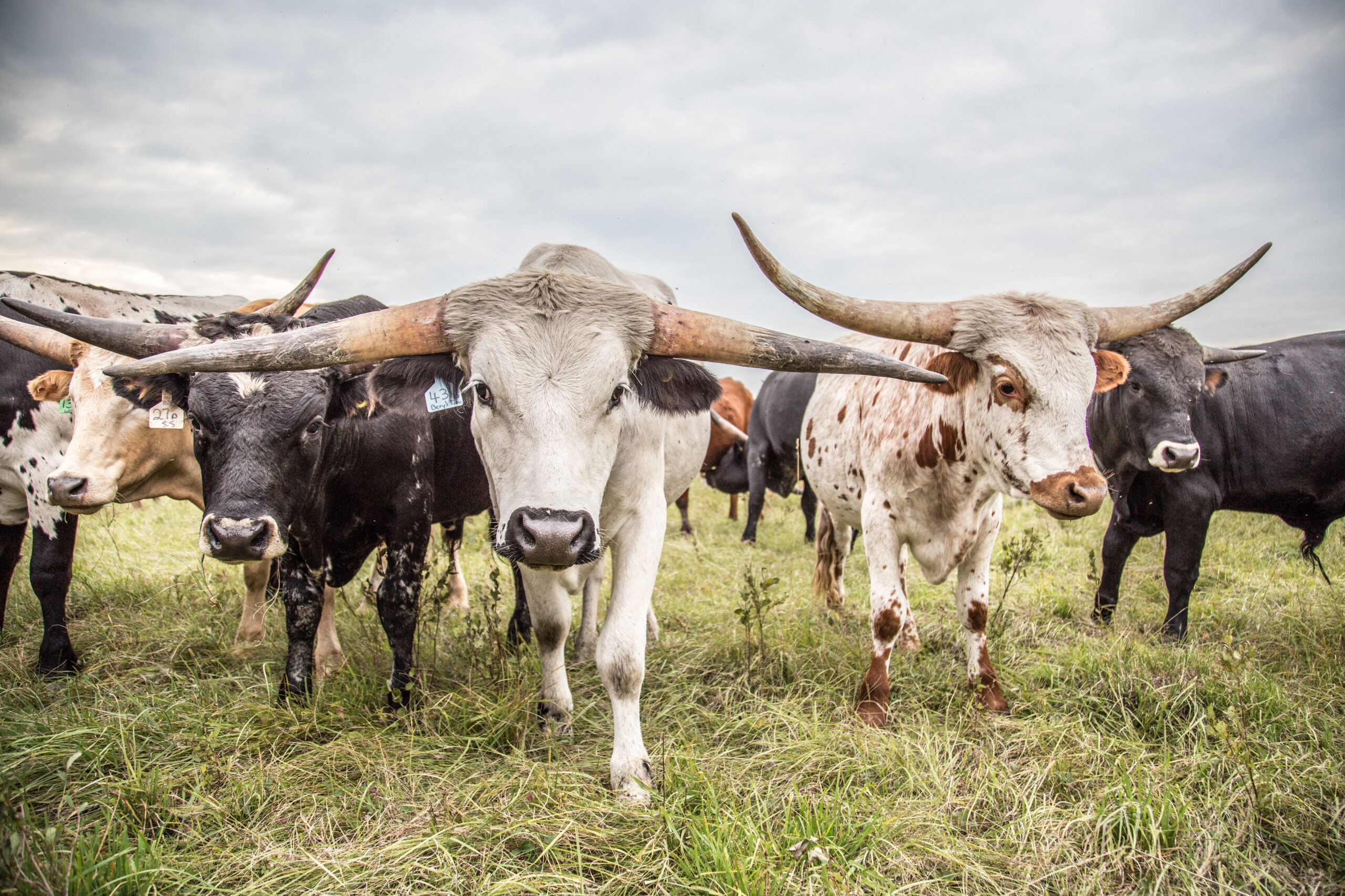 Alberta Open Farm Days - Free Farm Tours Around the Province