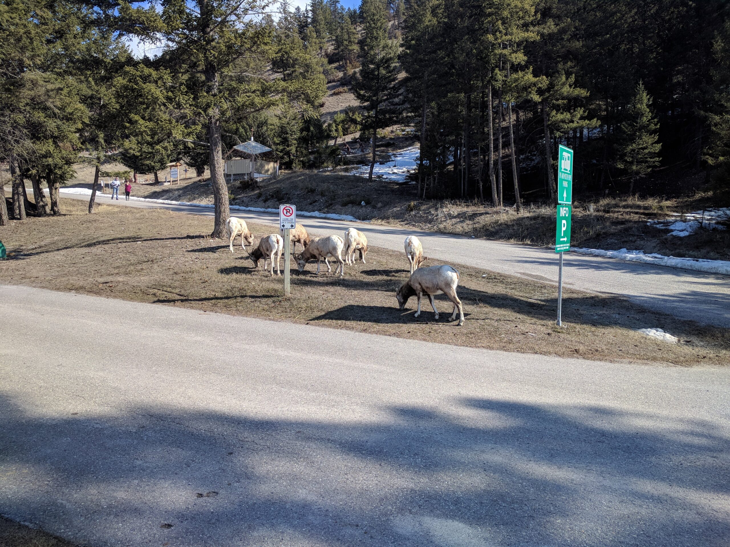 31 Things to Do in Invermere/East Kootenays in the Summer (free + low ...