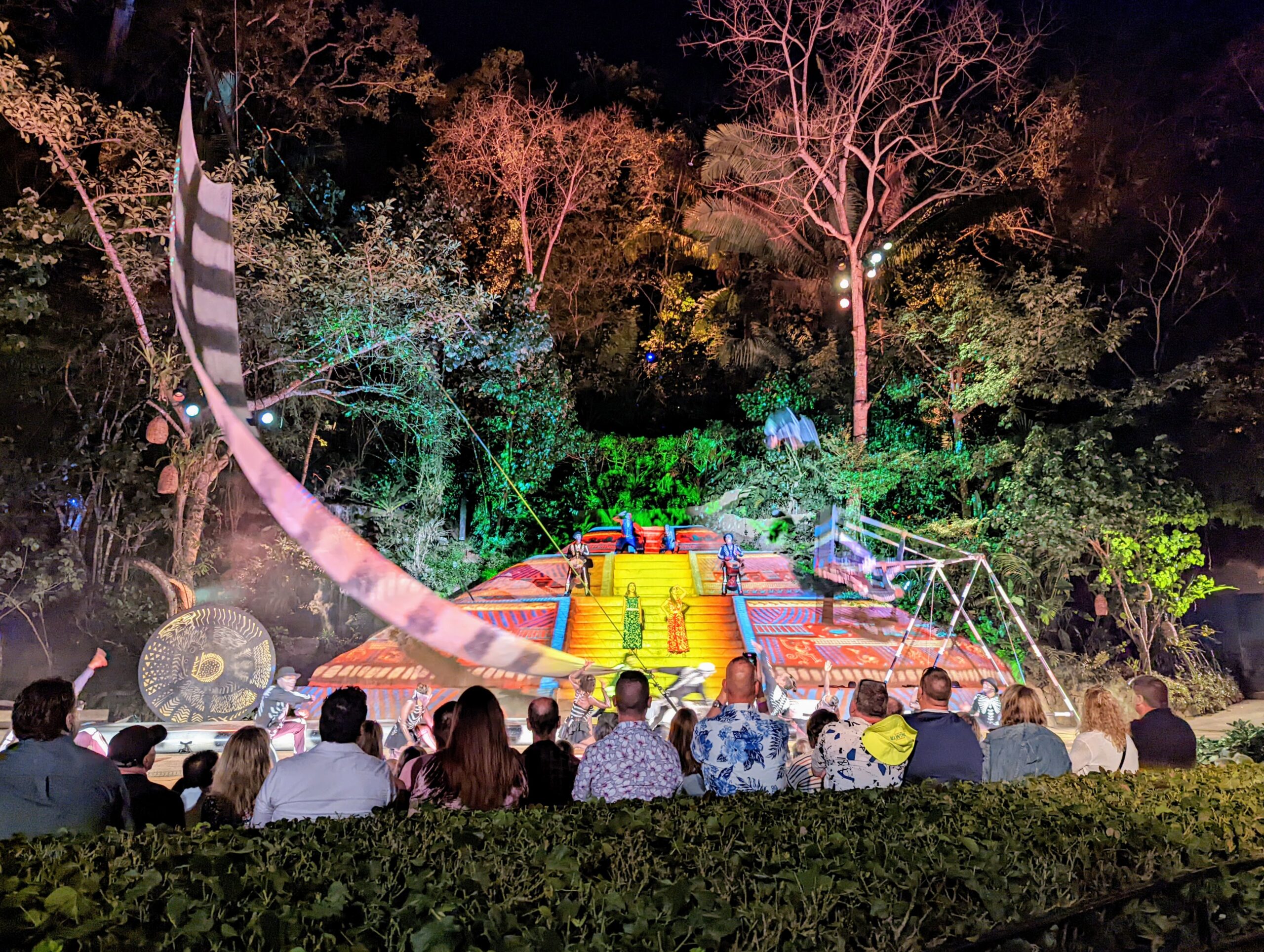 Honest Review of Rhythms of the Night in Puerto Vallarta: What to Expect