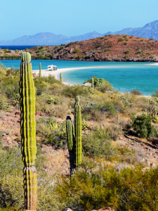 Unique Things to Do in Cabo San Lucas (that most tourists miss)