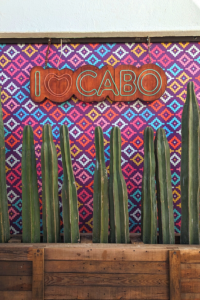 We Went to Cabo San Lucas in August: Here’s What to Expect