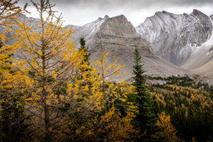 Visiting Banff in October: Complete Travel Guide + Tips