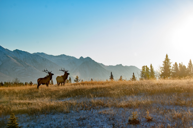 Visiting Banff in October: Complete Travel Guide + Tips