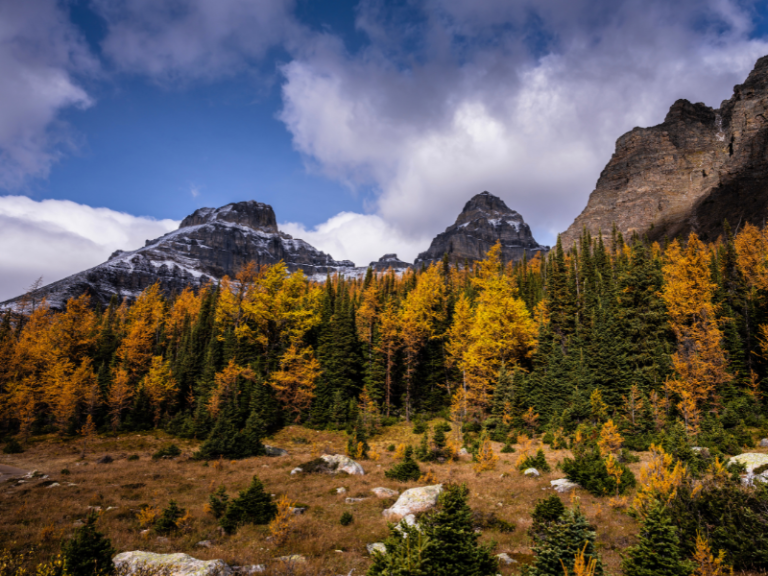 Visiting Banff in October: Complete Travel Guide + Tips